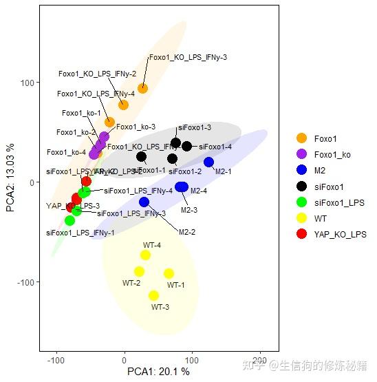 R语言—画带基因名标签的PCA主成分分析图 - 知乎