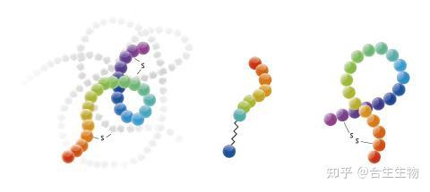 多肽修饰如何操作？ - 知乎