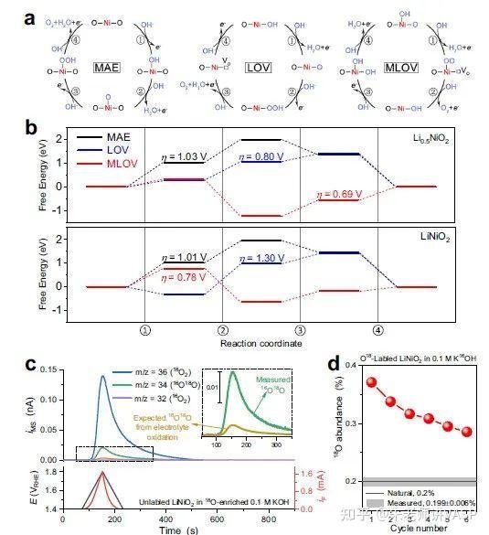 张林娟团队Nature子刊：双配体空穴作为LiNiO2的催化活性位点 - 知乎