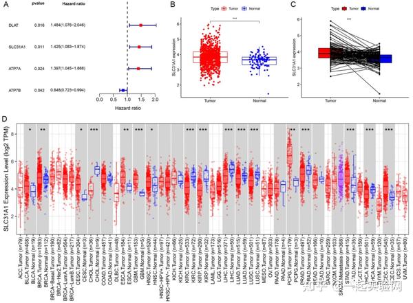 铜死亡热点：单基因肿瘤纯生信分析发表BMC bioinformatics！ - 知乎