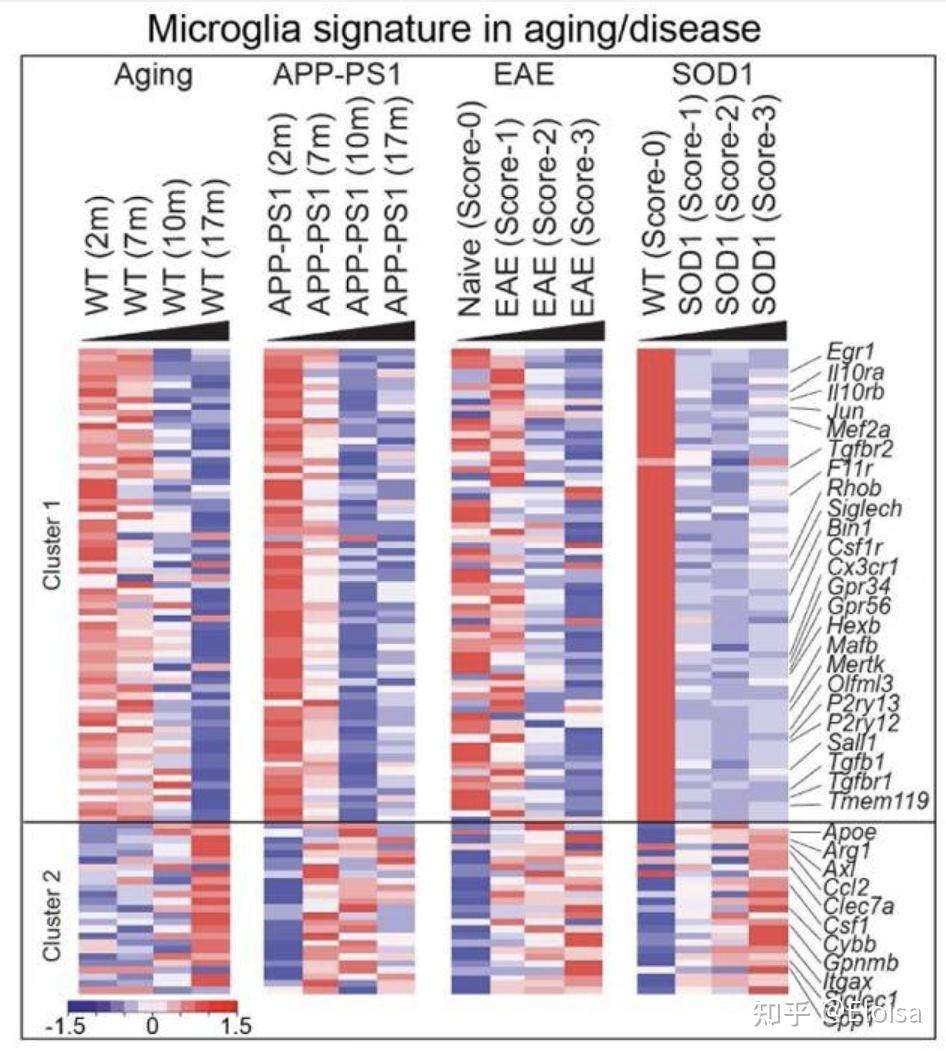 小胶质细胞分型——“M0”和“MGnD” - 知乎