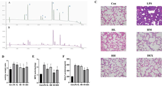文献解读 | 如何进行中药复方的体内机制研究，学会这个思路就够了！ - 知乎