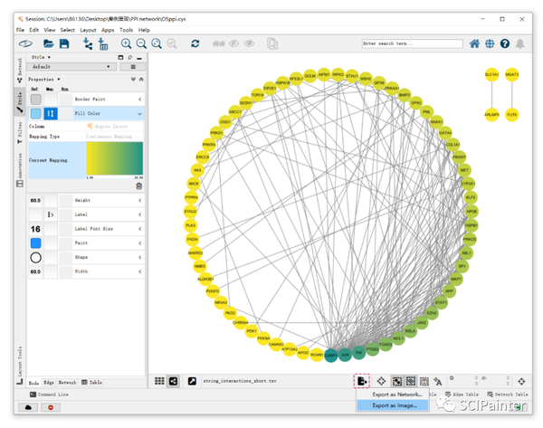 Cytoscape教程|如何构建排序的环状蛋白互作网络图？ - 知乎