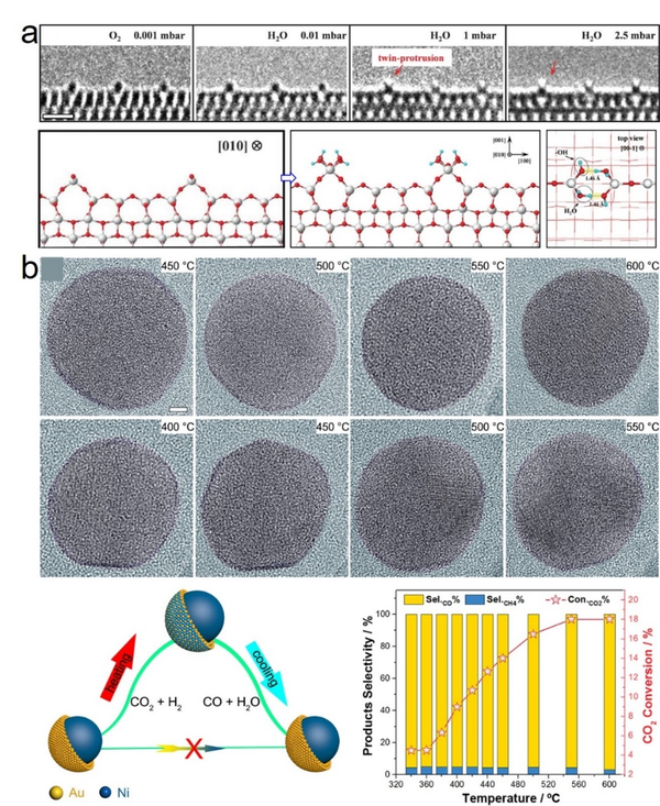 北科大王荣明/南科大杨烽AM综述：原位和环境透射电镜揭示纳米晶体的原子尺度结构动力学研究 - 知乎