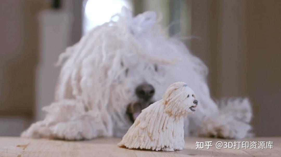 扎克伯格：入手3D打印机后，为女儿自制连衣裙 - 知乎