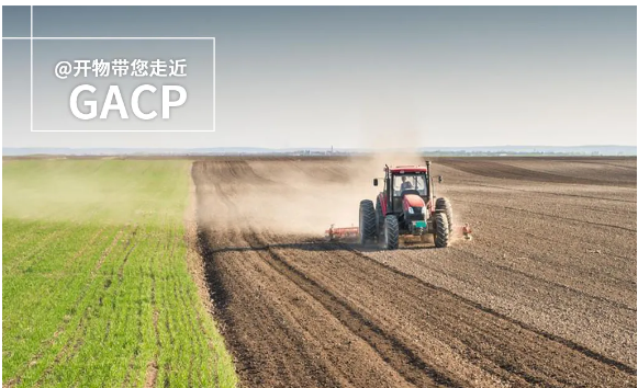 多恃前炒挫巨GACP - 知乎