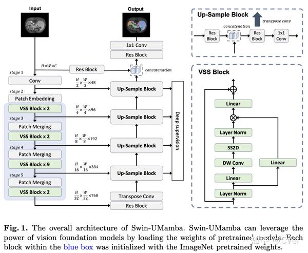 Swin-UMamba：基于Mamba和ImageNet预训练的医学图像分割模型 - 知乎