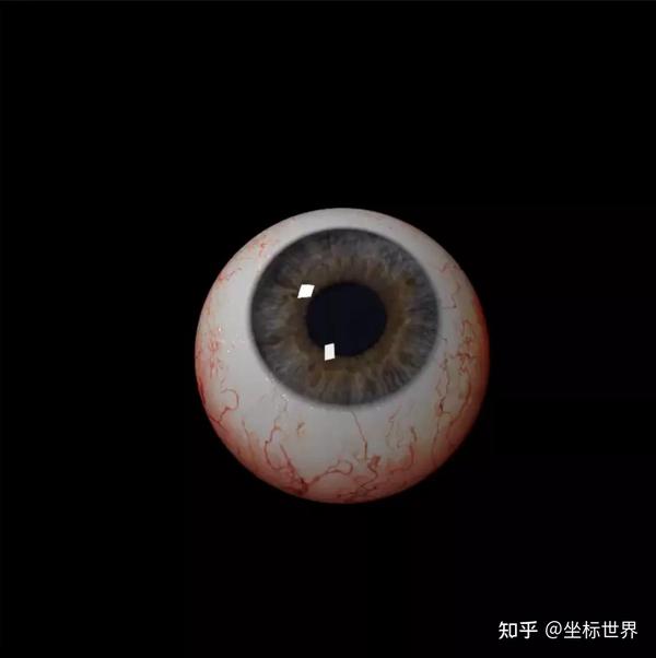 用Maya、Arnold制作渲染真实眼球【附贴图模型文件下载】 - 知乎