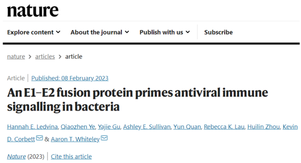 填补领域内又一空白，科学家发现细菌中存在泛素系统 - 知乎