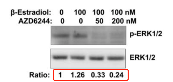 WB的无敌战神之路——WB的内参选择 - 知乎