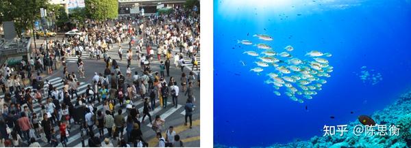 [CVPR 2022] GroupNet: 基于多尺度超图的轨迹预测及关系推理 - 知乎