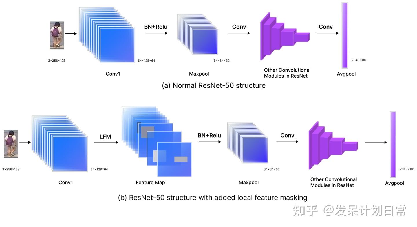 Beyond Dropout: Robust Convolutional Neural Networks Based on Local Feature Masking (论文详读) - 知乎