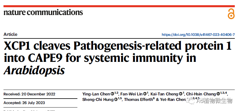 Nature Communications | 台湾中央研究院研究揭示激活植物系统免疫的关键蛋白酶！ - 知乎