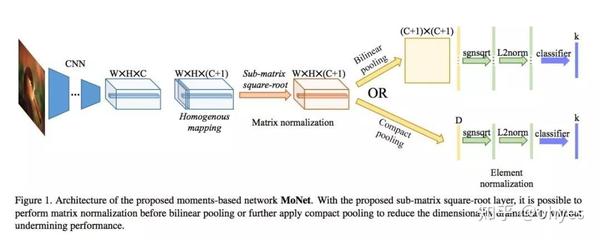 双线性汇合(bilinear pooling)在细粒度图像分析及其他领域的进展综述 - 知乎