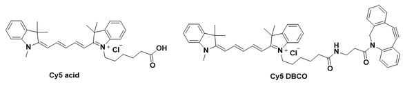 市场上有哪些常见的近红外光荧光染料？
