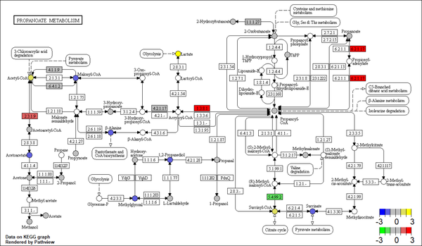 Pathview包：整合表达谱数据可视化KEGG通路 - 知乎
