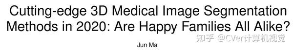 2020年最先进的3D医学图像分割方法 - 知乎