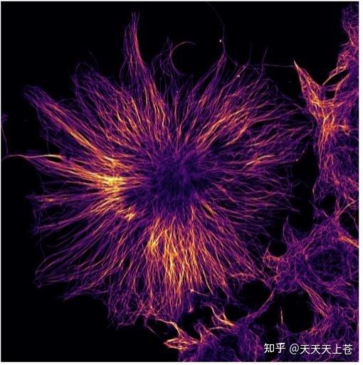 Argolight荧光显微成像校准工具 - 知乎