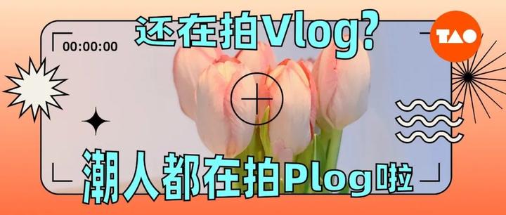 【视觉】设计师必看|潮人必备，Plog模板设计指南 - 知乎