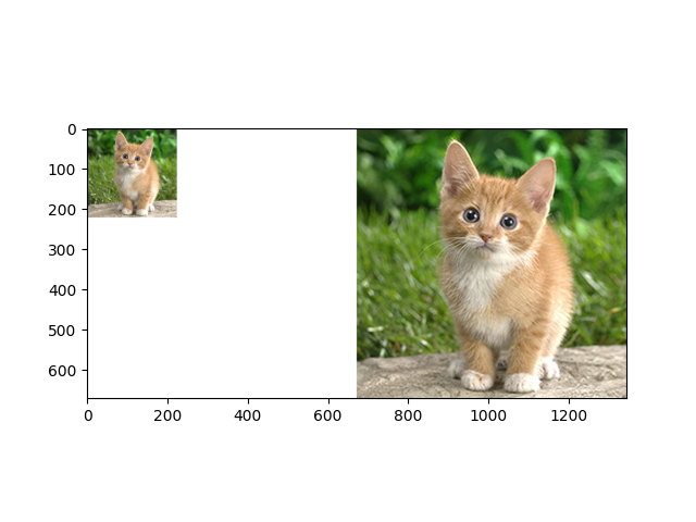 【TVM 教程】编译 PyTorch 目标检测模型 - 知乎