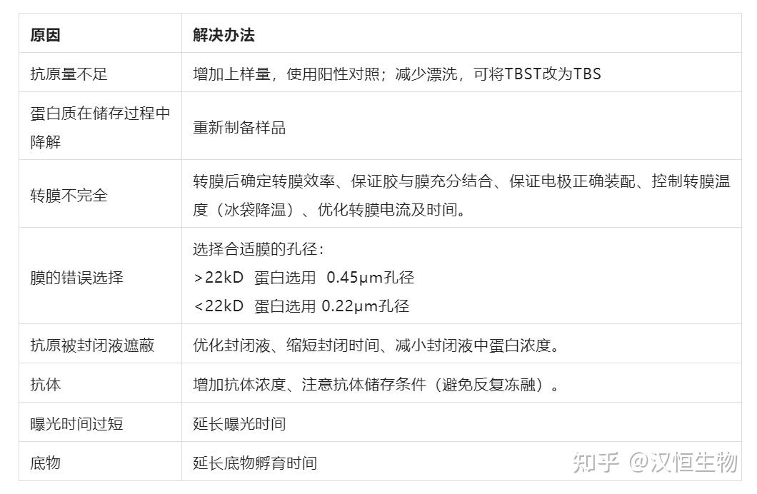 WB常见问题分析，教你做出漂亮的Western Blot数据 - 知乎