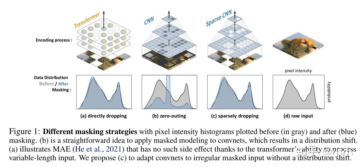 论文阅读 DESIGNING BERT FOR CONVOLUTIONAL NETWORKS: SPARSE AND HIERARCHICA ...