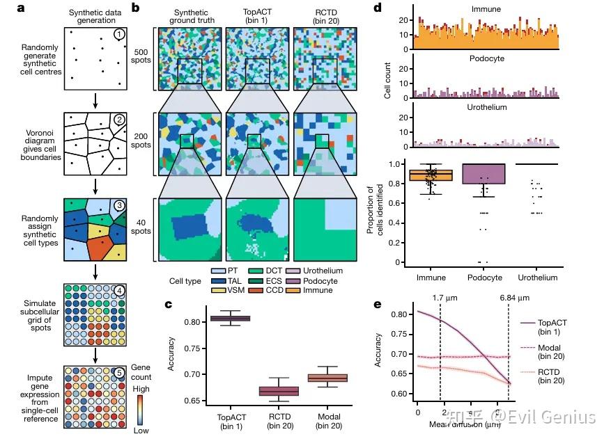 文献分享-----10X Visium HD & Stereo-seq图像分割（nature文献） - 知乎