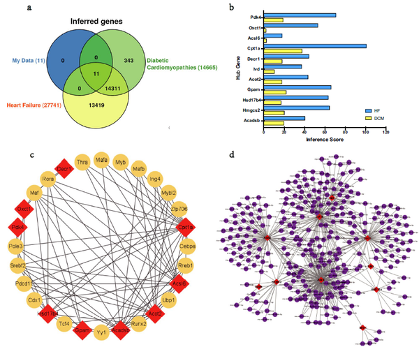 线粒体+免疫双热点齐发，在非肿瘤中表现强劲！简单的生信分析+实验验证直接拿下8分+，干湿结合思路模仿它就对了~ - 知乎