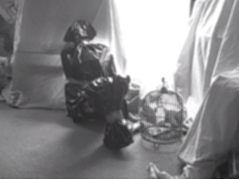 网络怪谈：诡异的油管频道Robert Helpmann - 知乎