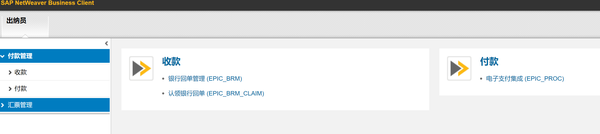 SAP那些事-实战篇-83-SAP几种客户端简要说明 - 知乎