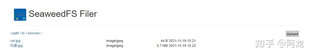 SeaweedFS介绍安装集群部署总结 - 知乎