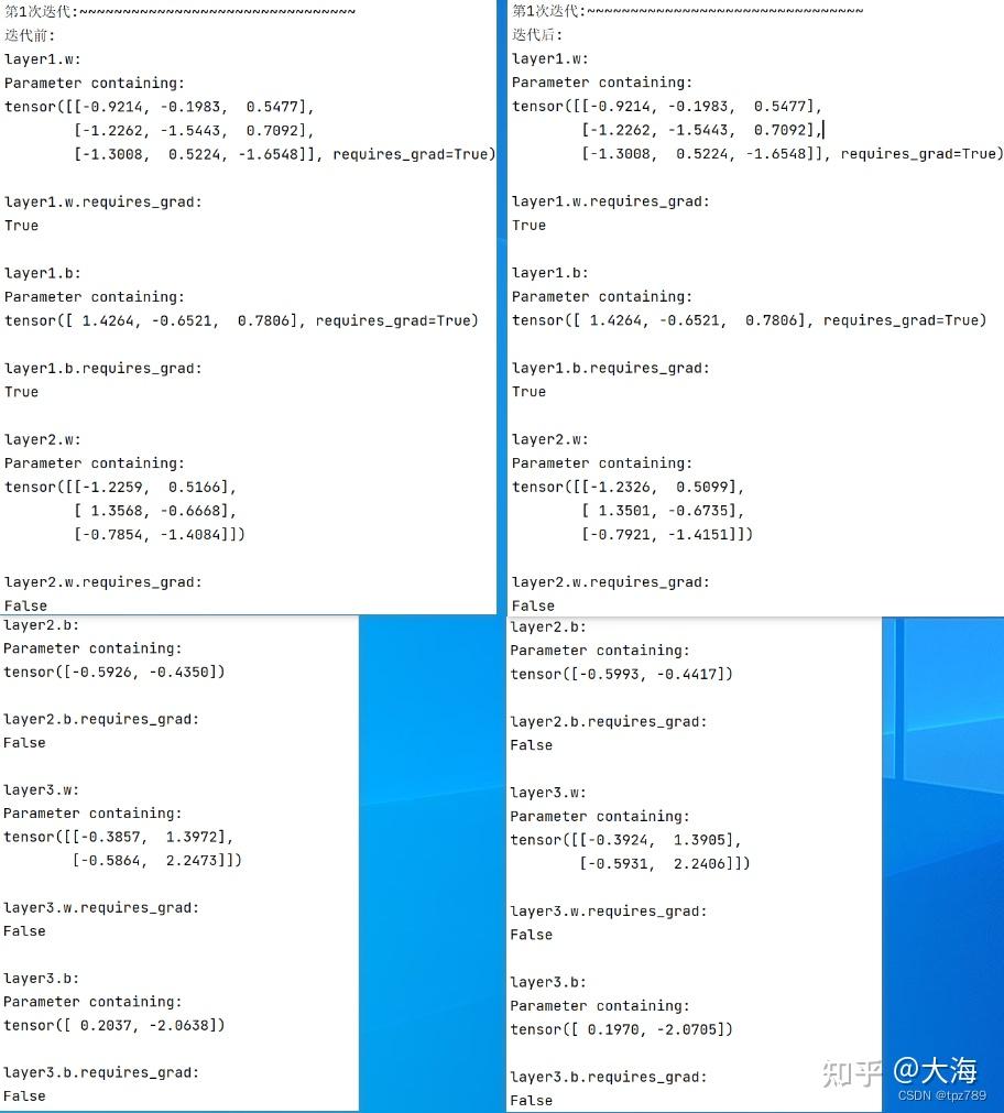 pytorch 冻结网络层 - 知乎