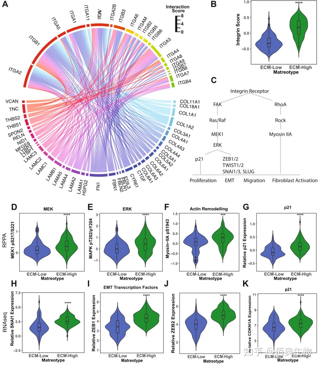 15分+的ECM生信分析都能做些啥？ - 知乎