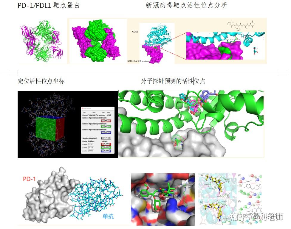 药物人必备科研技能！CADD计算机辅助药物设计联合AIDD人工智能药物发现+深度学习基因组学 - 知乎