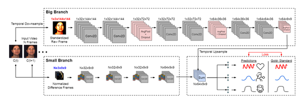 【rPPG论文阅读】BigSmall: Efficient Multi-Task Learning for Disparate Spatial ...