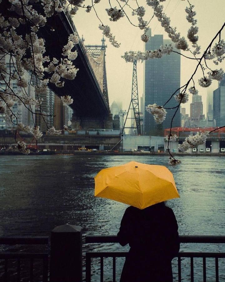 【由“我”及“他”】 - 知乎