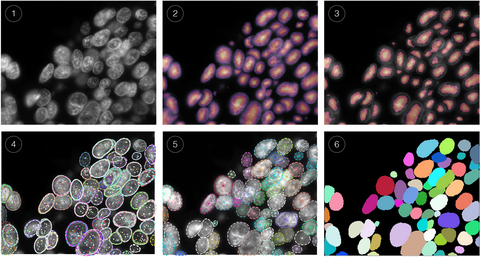 ImageJ实用教程 - 知乎