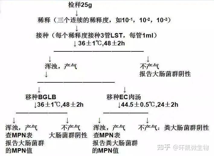 大肠菌群、粪大肠、大肠埃希氏菌检验的相关知识 知乎 7224