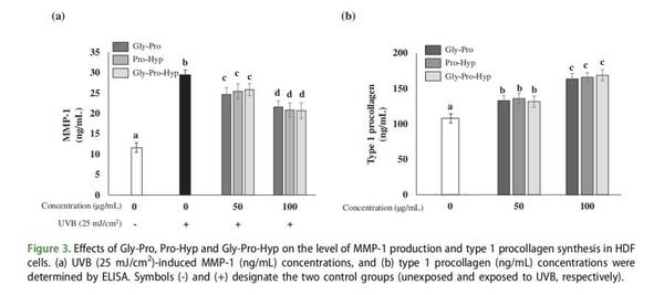 科研证明：胶原蛋白肽可通过二肽形式来预防紫外线诱导皮肤光老化 - 知乎
