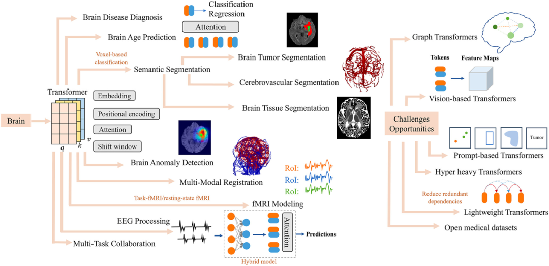 脑科学能用Transformer做什么？这里总结全了！(内附开源数据集链接)｜追问新知 - 知乎