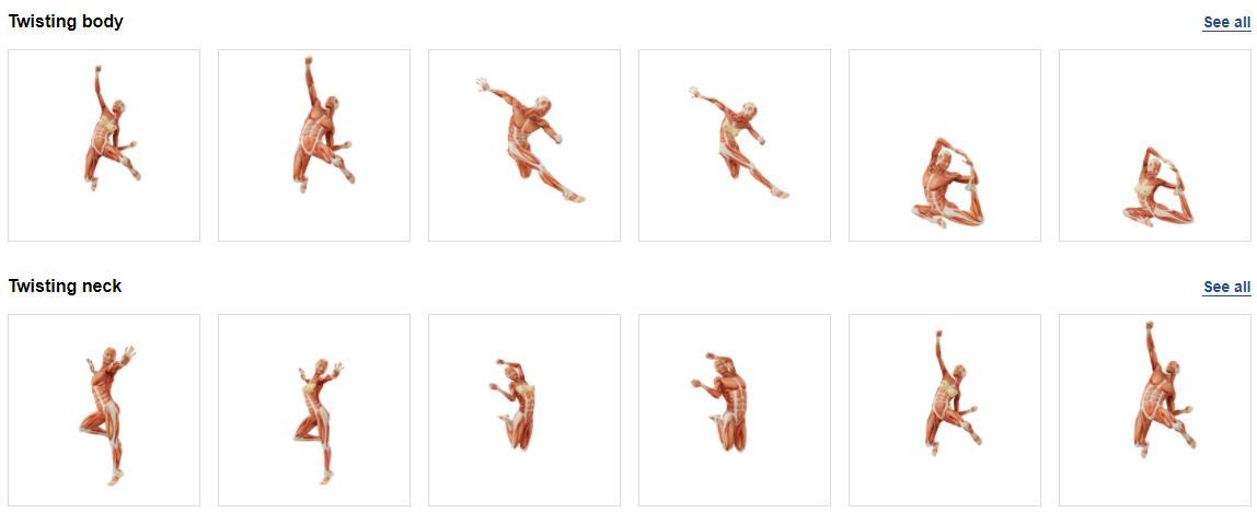 宝藏网站！不会画pose？数万个人体速写练习姿势参考神器 - 知乎