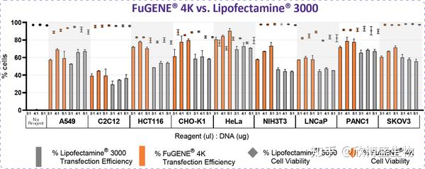 Lipofectamin® 3000与FuGENE® 4K转染效率谁更优？ - 知乎