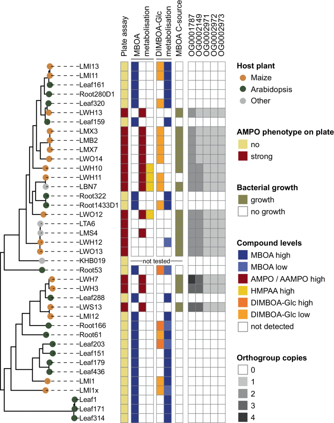 Nature Commun | 植物特异性代谢物选择具有代谢能力的根系细菌 - 知乎