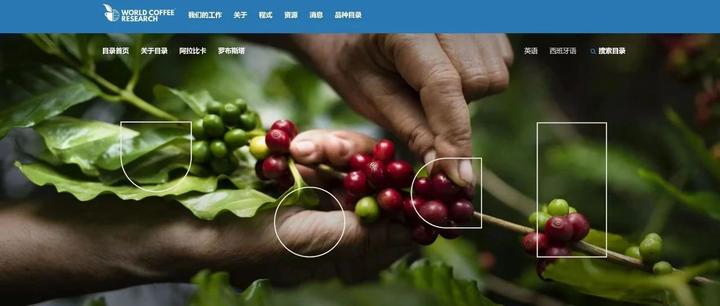 咖啡知识 | 世界咖啡研究所（World Coffee Research）简单介绍 - 知乎