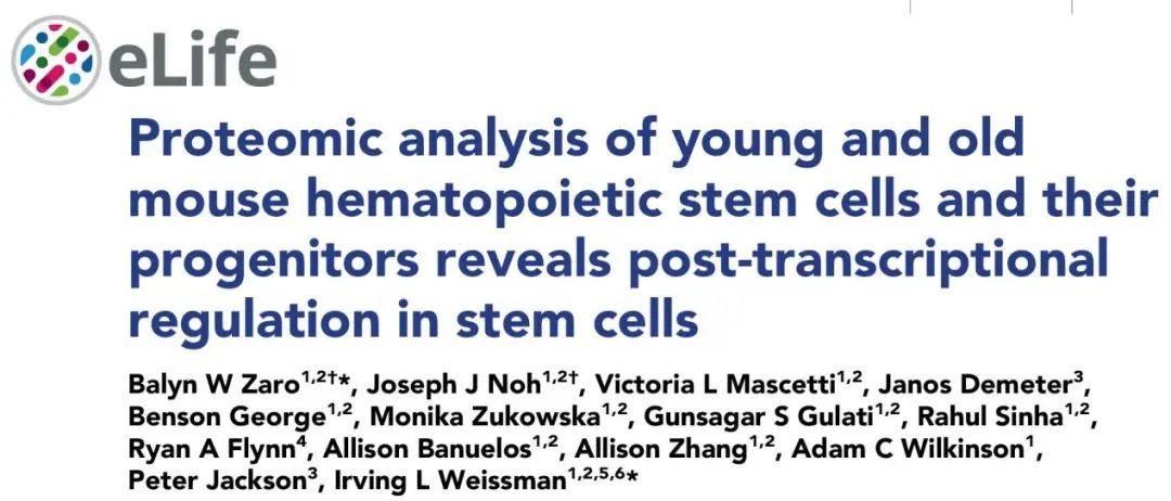 eLife | 蛋白质组学揭示造血干细胞转录后蛋白抑制机制 - 知乎