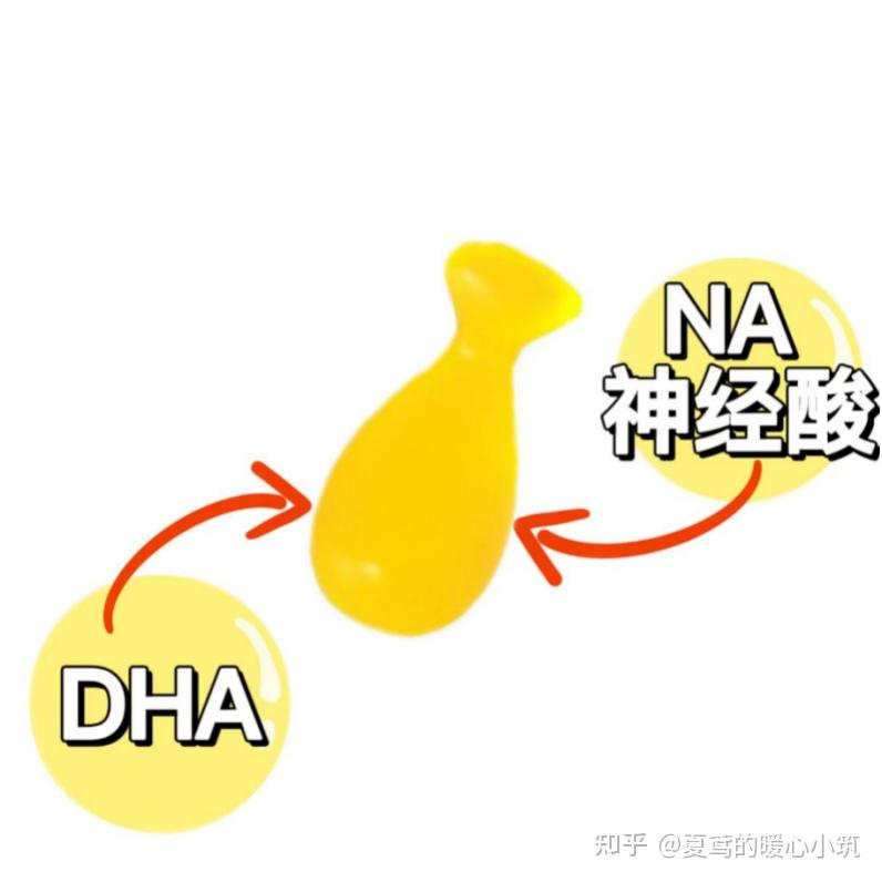 inne补脑小百科：DHA+NA神经酸，全脑DHA综合补充营养更【全】面 - 知乎