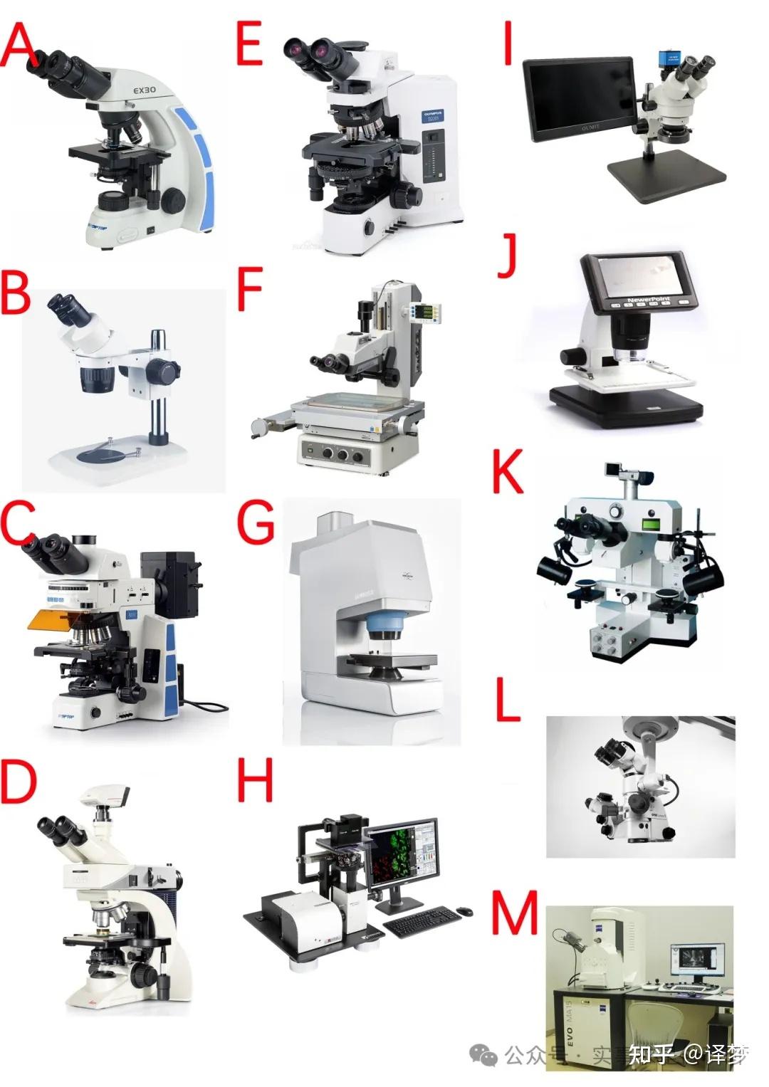 显微镜有哪些类型？ - 知乎