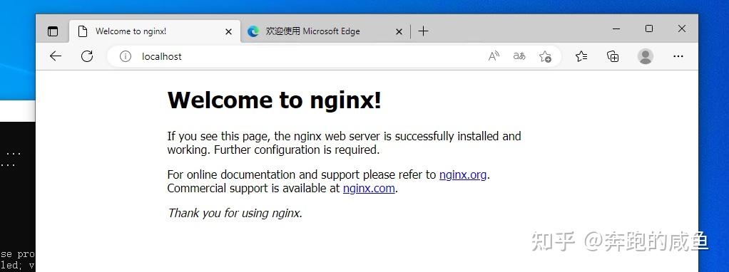 WSLg正式支持Windows10 - 知乎