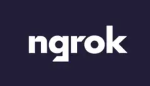 通过Ngrok实现内网穿透助力远程开发 - 知乎