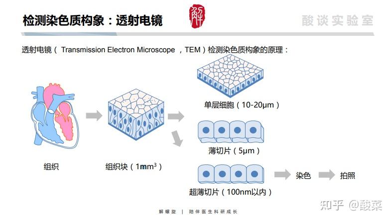 有救啦！CCK-8、MTT、划痕实验 、transwell 实验、PI染色等14个实验，巨详细！ - 知乎